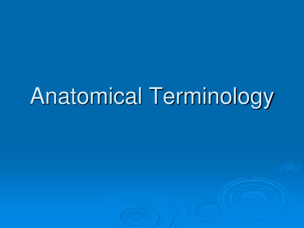 PPT - Anatomical Terminology PowerPoint Presentation, free download ...