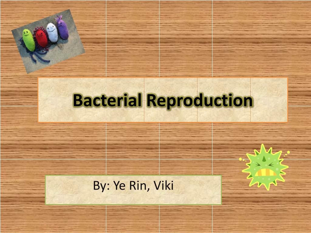 PPT - Bacterial Reproduction PowerPoint Presentation, free download ...