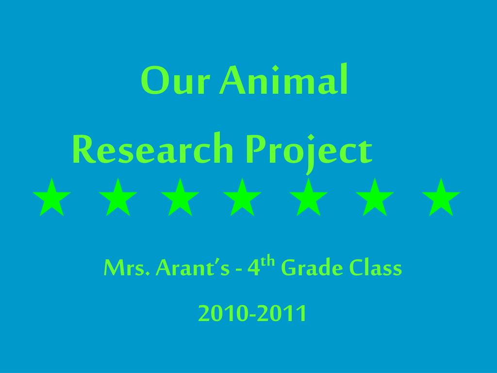 PPT - Our Animal Research Project PowerPoint Presentation, free ...