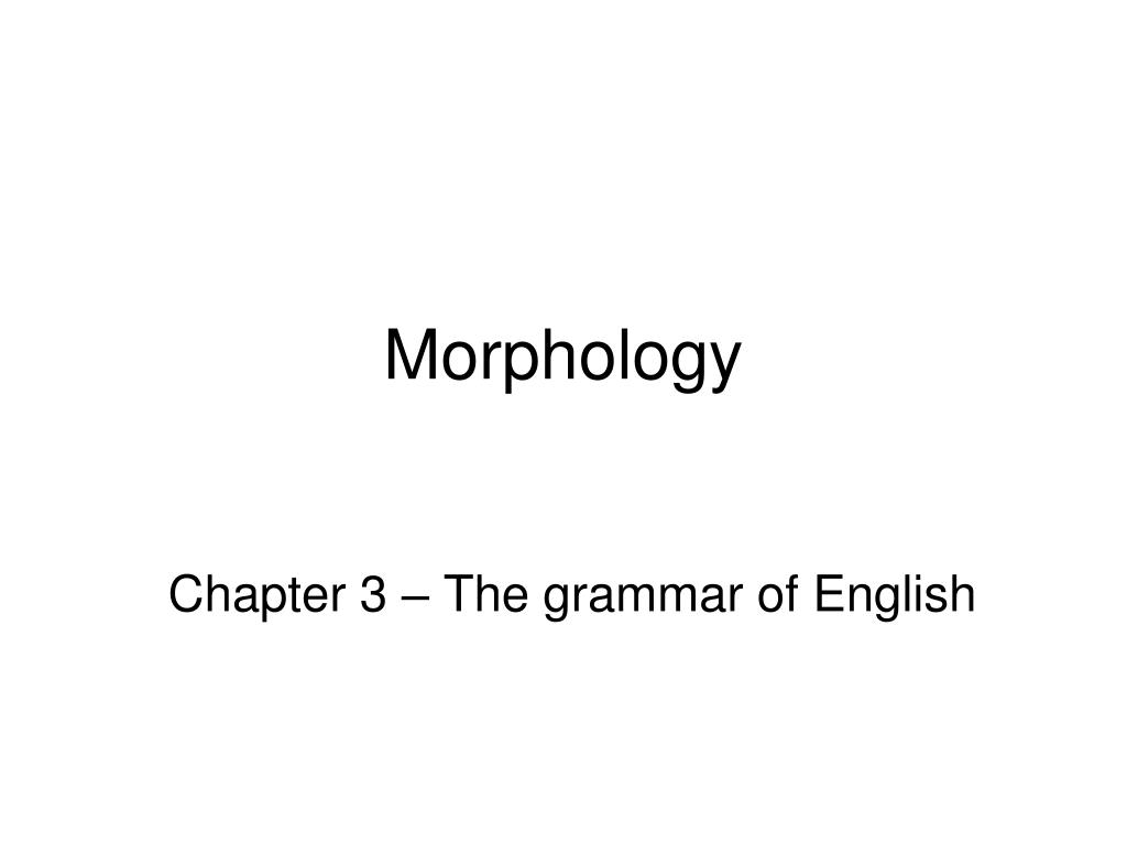 PPT - Morphology PowerPoint Presentation, free download - ID:2735048