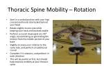 PPT - Chapter 25 The Thoracic Spine PowerPoint Presentation, free ...