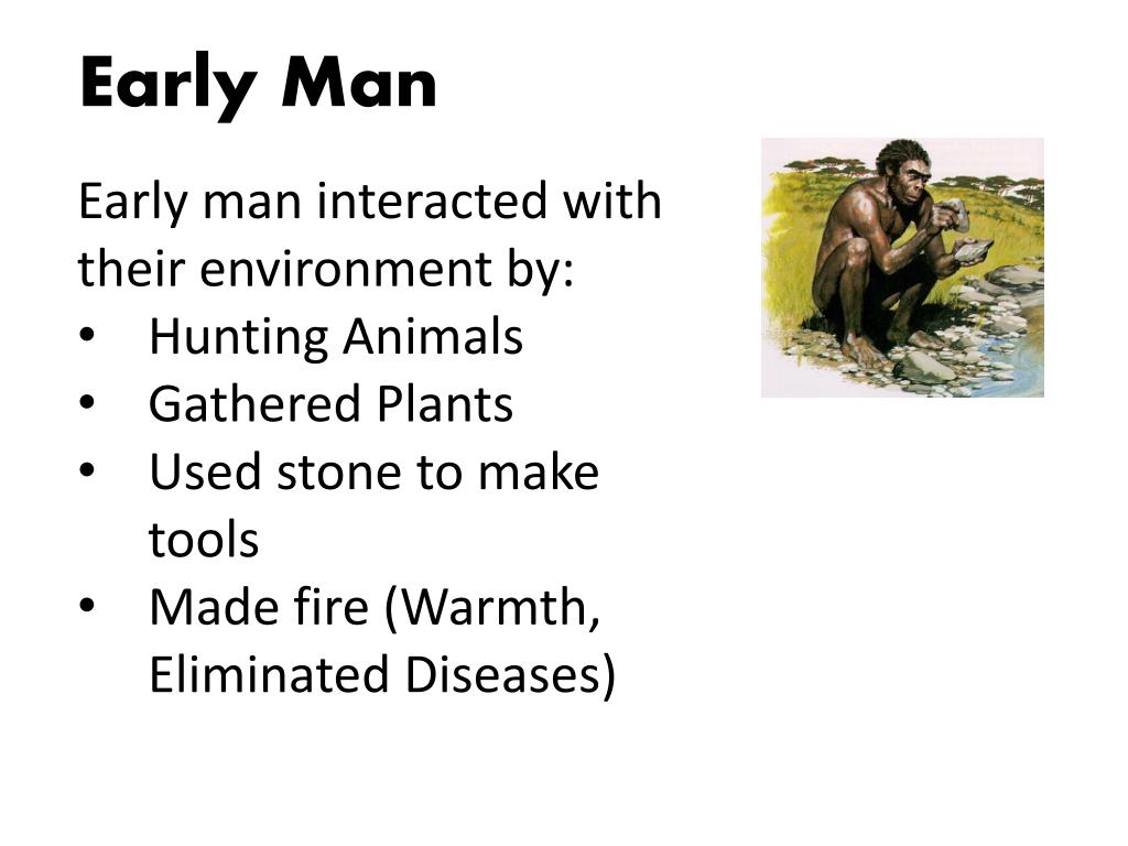 PPT - Early Man PowerPoint Presentation, free download - ID:2737554