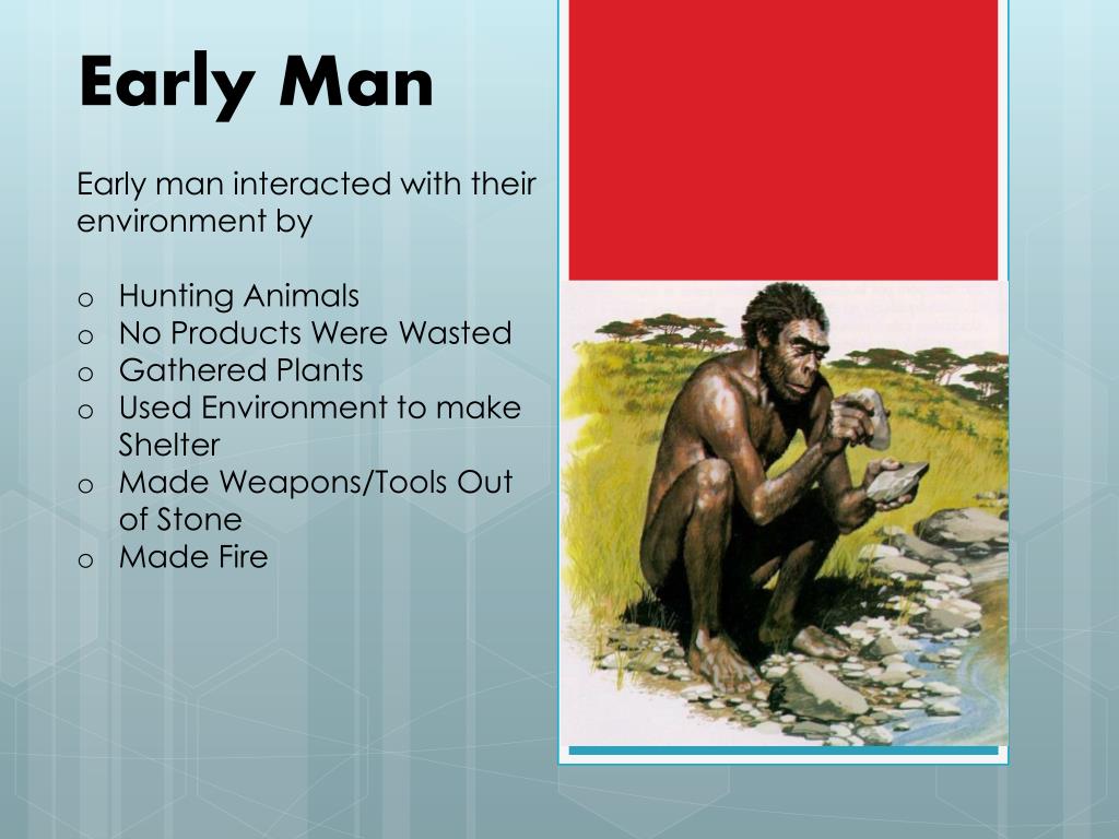 PPT - Early Man PowerPoint Presentation, free download - ID:2737647
