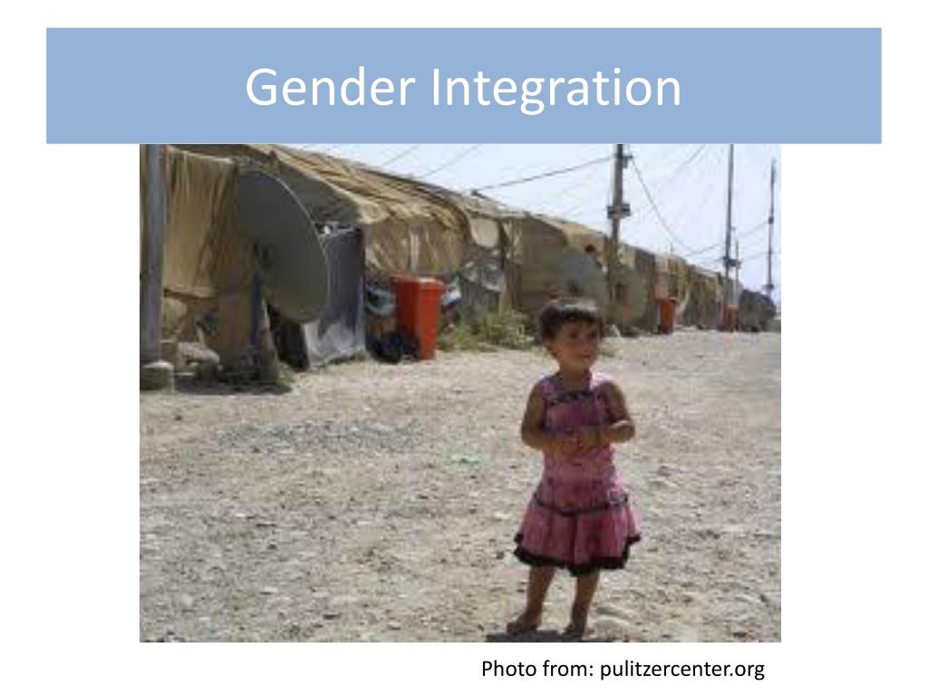 PPT - Gender Integration PowerPoint Presentation, free download - ID ...