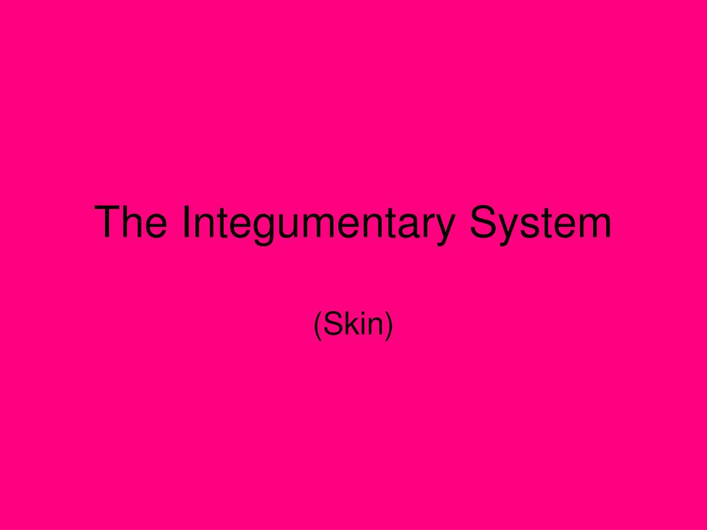 PPT - The Integumentary System PowerPoint Presentation, free download ...