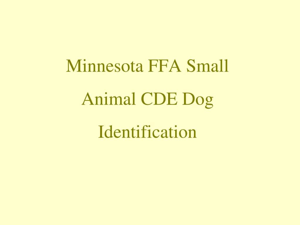 PPT - Minnesota FFA Small Animal CDE Dog Identification PowerPoint ...