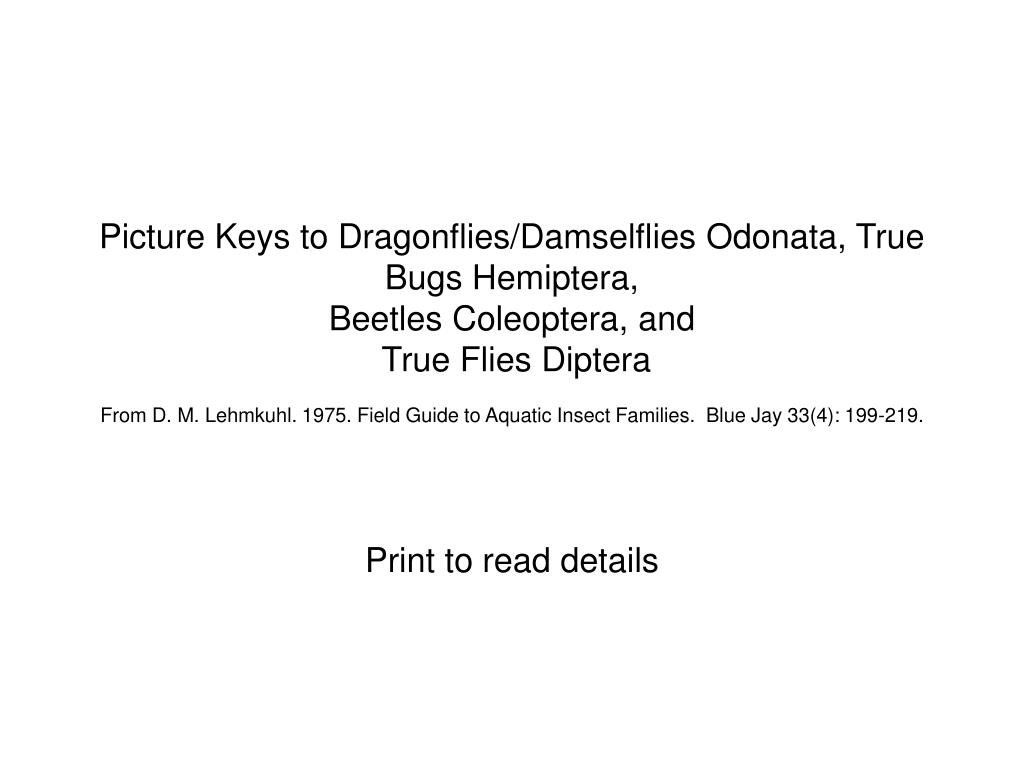 PPT - Print to read details PowerPoint Presentation, free download - ID ...