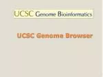 PPT - UCSC Genome Browser PowerPoint Presentation, free download - ID ...