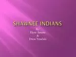 PPT - Shawnee Indians PowerPoint Presentation, free download - ID:1971075