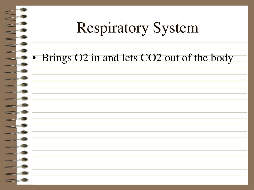 PPT - Respiratory System PowerPoint Presentation, free download - ID ...