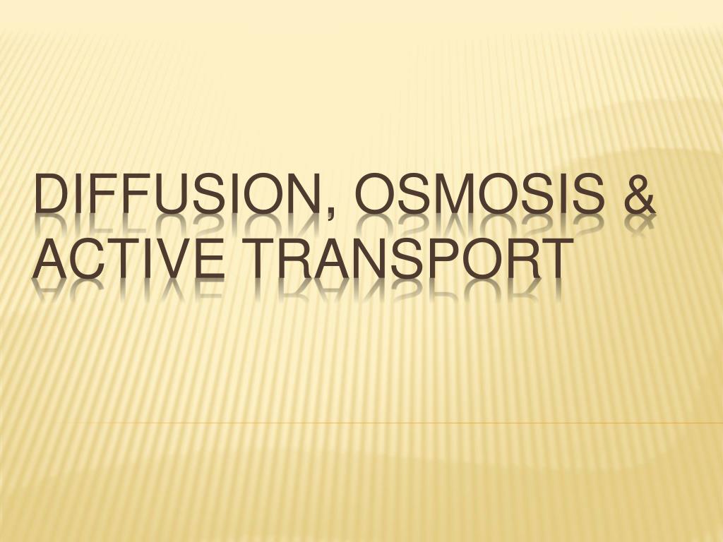 PPT - Understanding Diffusion, Osmosis, and Active Transport in ...