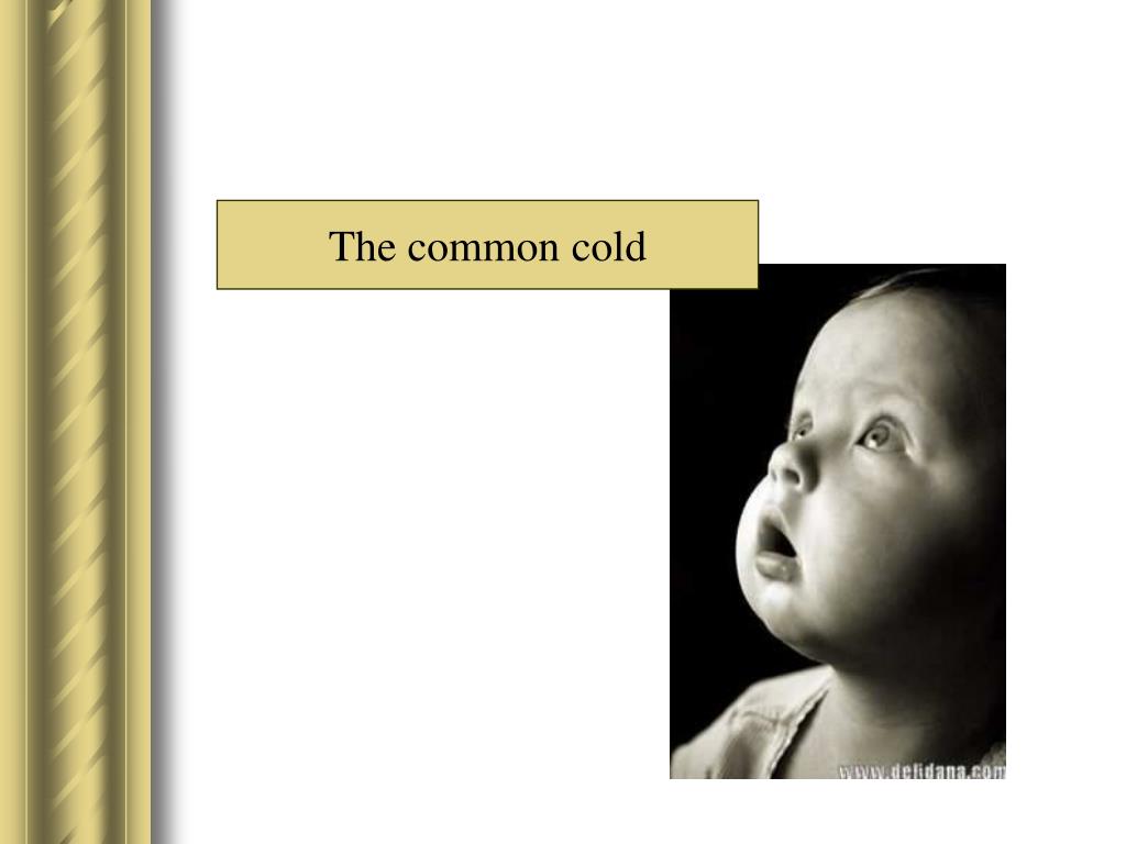 PPT - The common cold PowerPoint Presentation, free download - ID:2748105