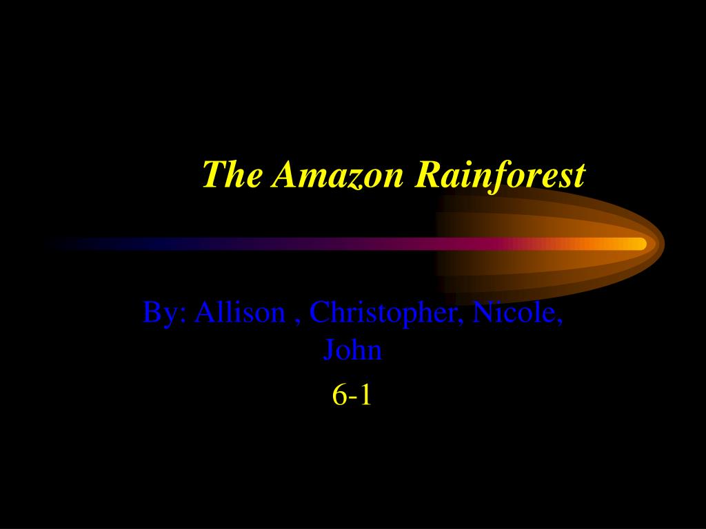 PPT - The Amazon Rainforest PowerPoint Presentation, free download - ID ...