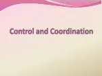 PPT - CHAPTER - 7 CONTROL AND COORDINATION PowerPoint Presentation ...