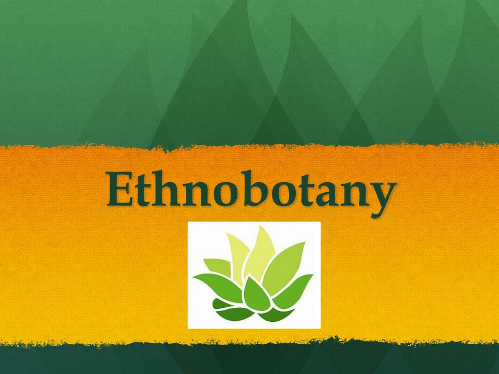 PPT - Ethnobotany PowerPoint Presentation, free download - ID:2751745