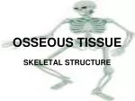 PPT - Osseous Tissue and Bone Structure PowerPoint Presentation, free ...