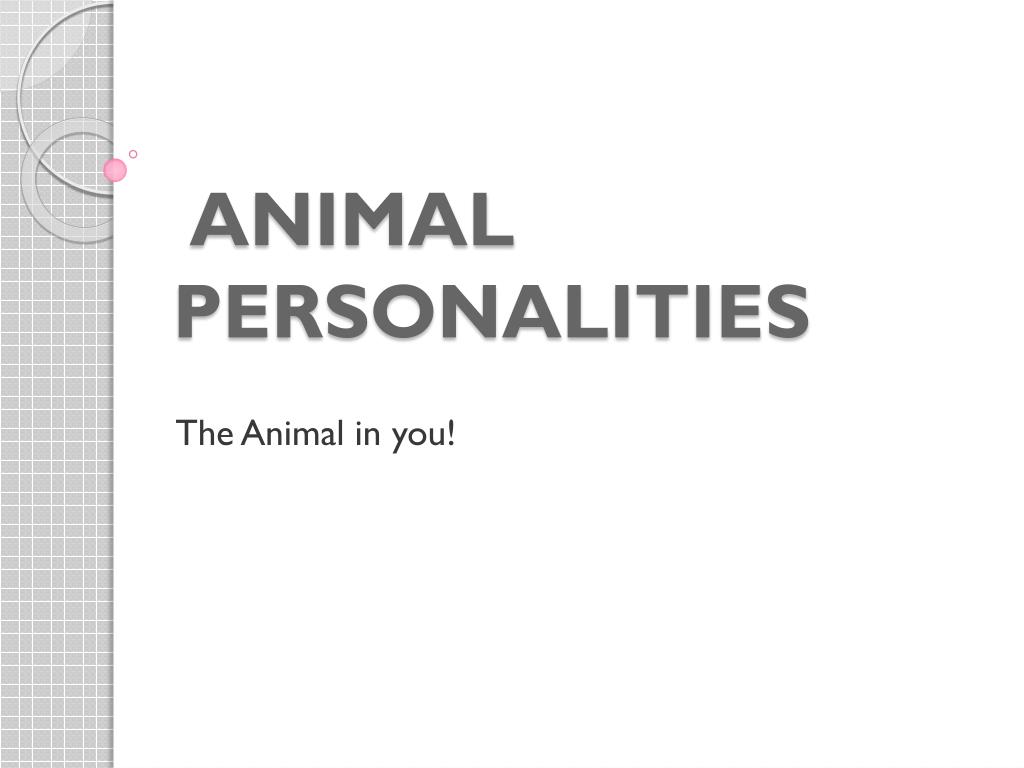 PPT - ANIMAL PERSONALITIES PowerPoint Presentation, free download - ID ...