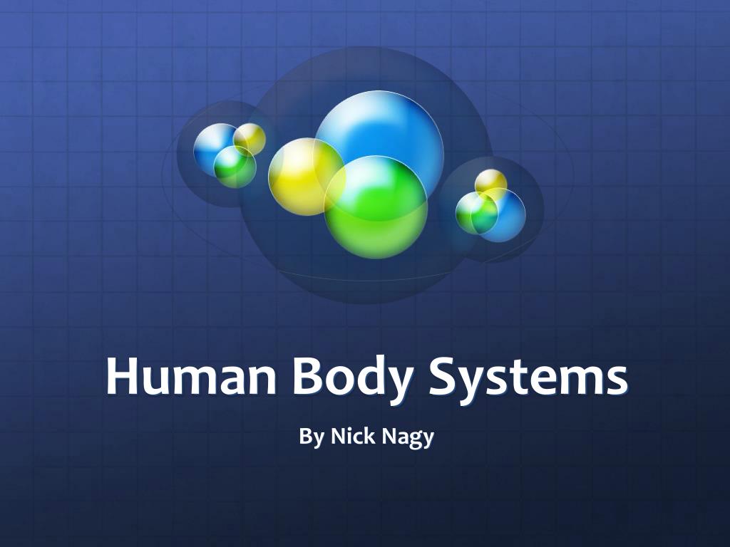 PPT - Human Body Systems PowerPoint Presentation, free download - ID ...