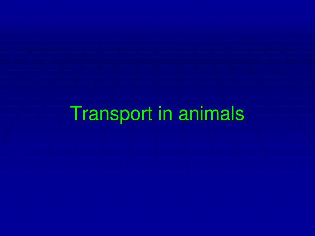 PPT - Transport in animals PowerPoint Presentation, free download - ID ...