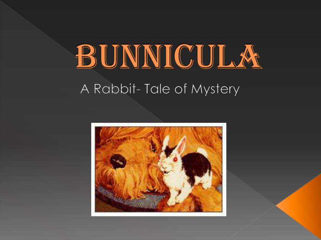 PPT - BUNNICULA PowerPoint Presentation, free download - ID:2757764