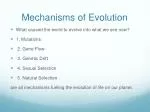PPT - Mechanisms of evolution PowerPoint Presentation, free download ...