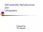PPT - Self Assembly PowerPoint Presentation, free download - ID:5480528