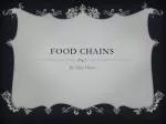 PPT - Food Chains PowerPoint Presentation, free download - ID:9522090