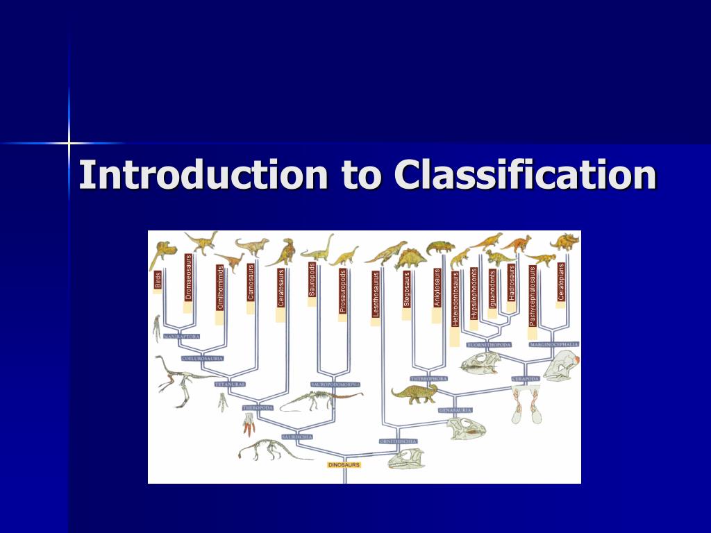 PPT - Introduction to Classification PowerPoint Presentation, free ...