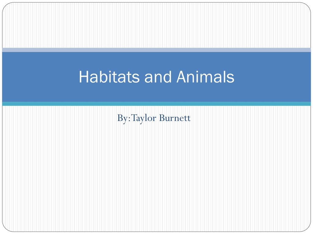 PPT - Habitats and Animals PowerPoint Presentation, free download - ID ...