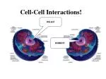 PPT - Cell Interactions with Biomaterials PowerPoint Presentation, free ...