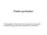 PPT - Techniques of Protein Purification PowerPoint Presentation, free ...