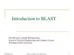 PPT - Introduction to BLAST PowerPoint Presentation, free download - ID ...