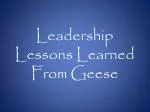 PPT - 4 LESSONS FOR ORGANISATIONS FROM GEESE Based on research by ...
