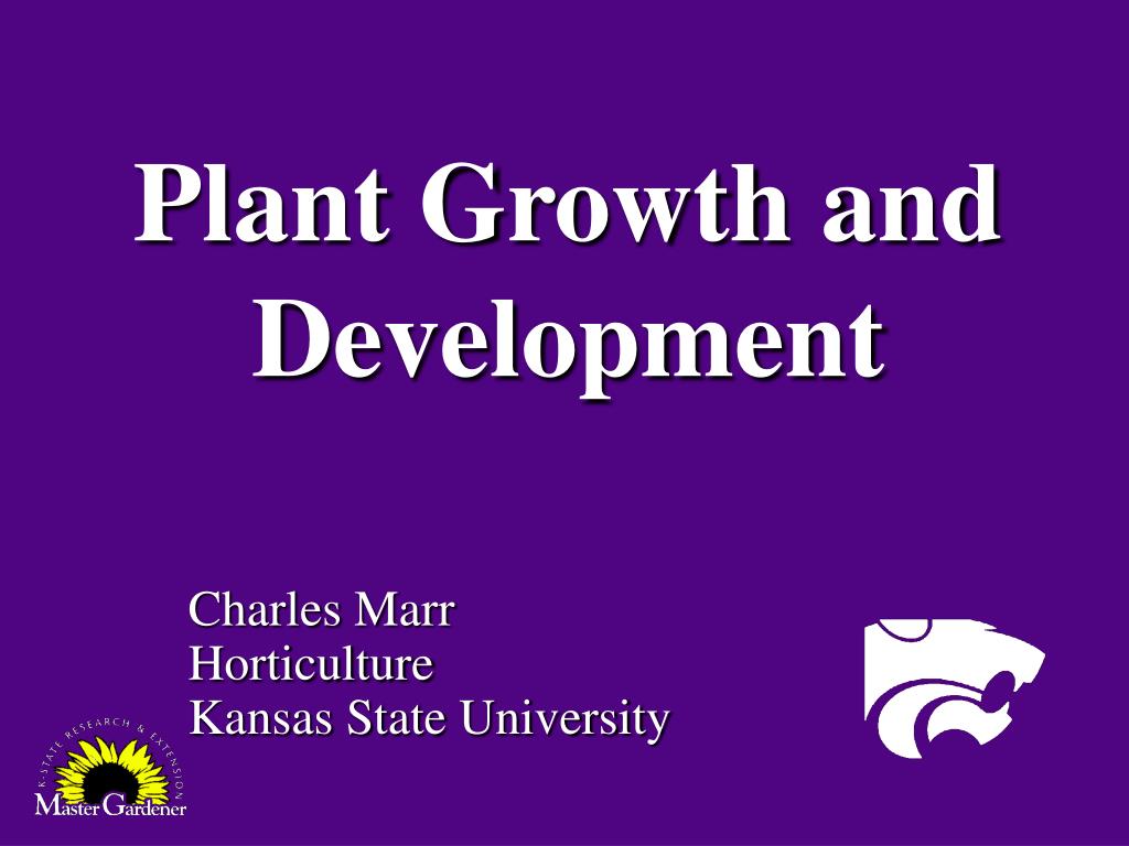 PPT - Plant Growth and Development PowerPoint Presentation, free ...
