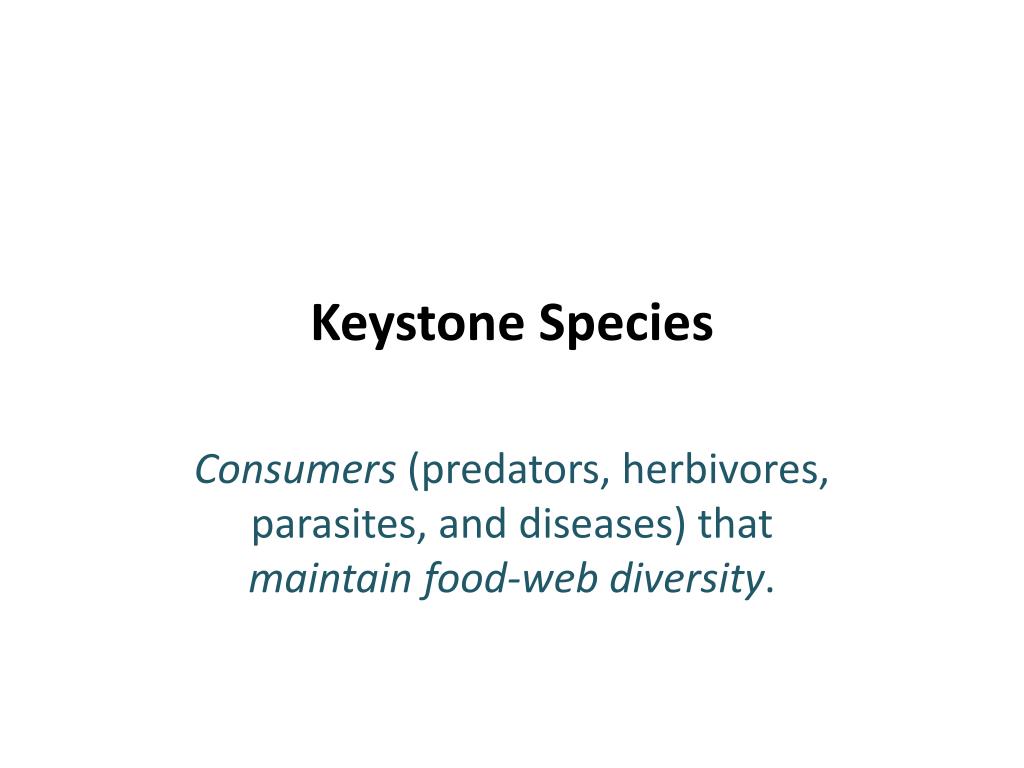 PPT - Keystone Species PowerPoint Presentation, free download - ID:2766766