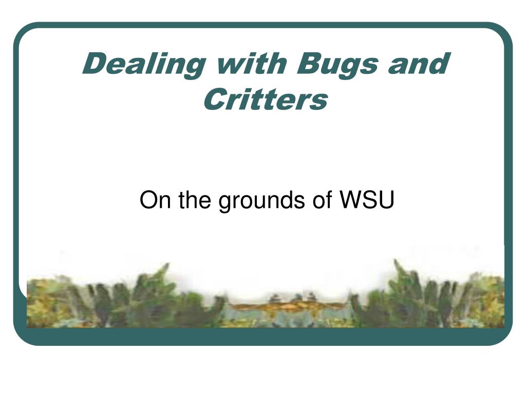 PPT - Dealing with Bugs and Critters PowerPoint Presentation, free ...
