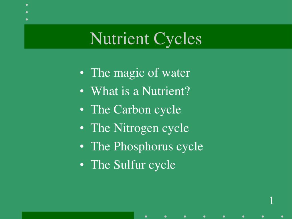 PPT - Nutrient Cycles PowerPoint Presentation, free download - ID:2767346