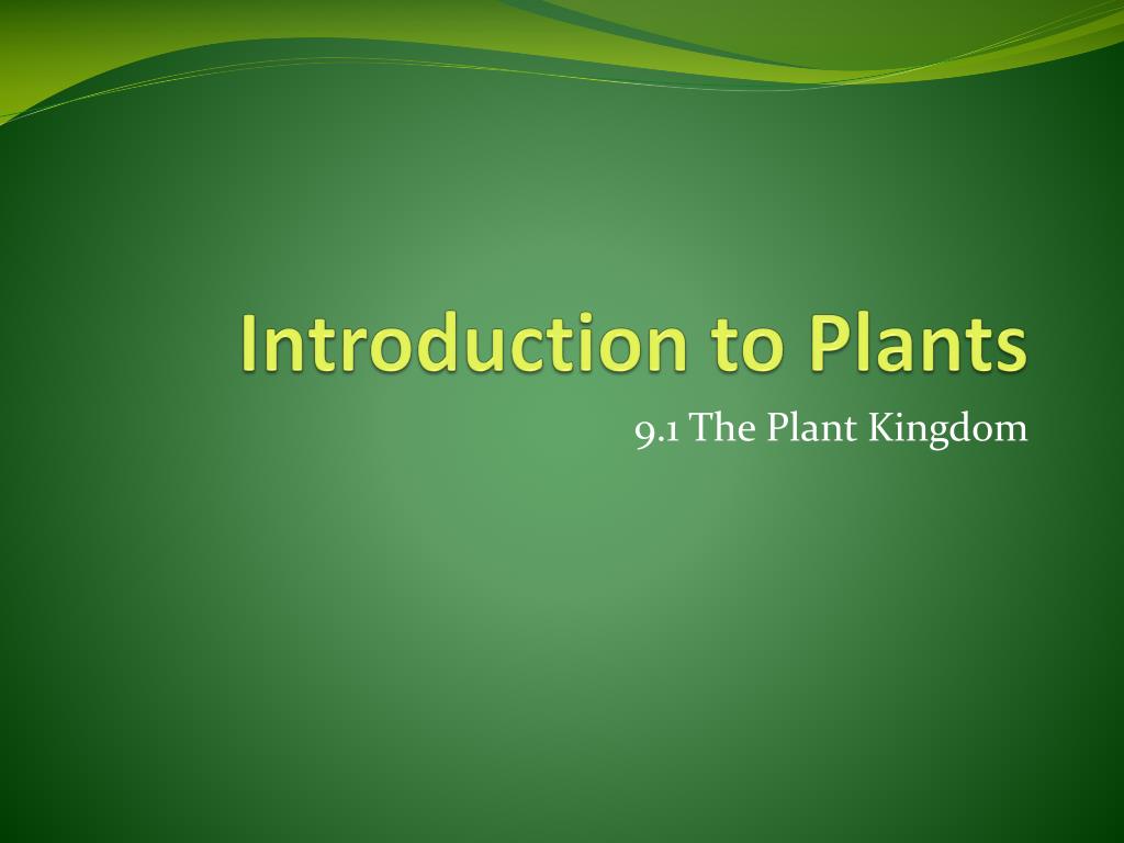 PPT - Introduction to Plants PowerPoint Presentation, free download ...