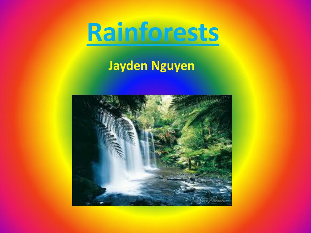 PPT - Rainforests PowerPoint Presentation, free download - ID:2769484