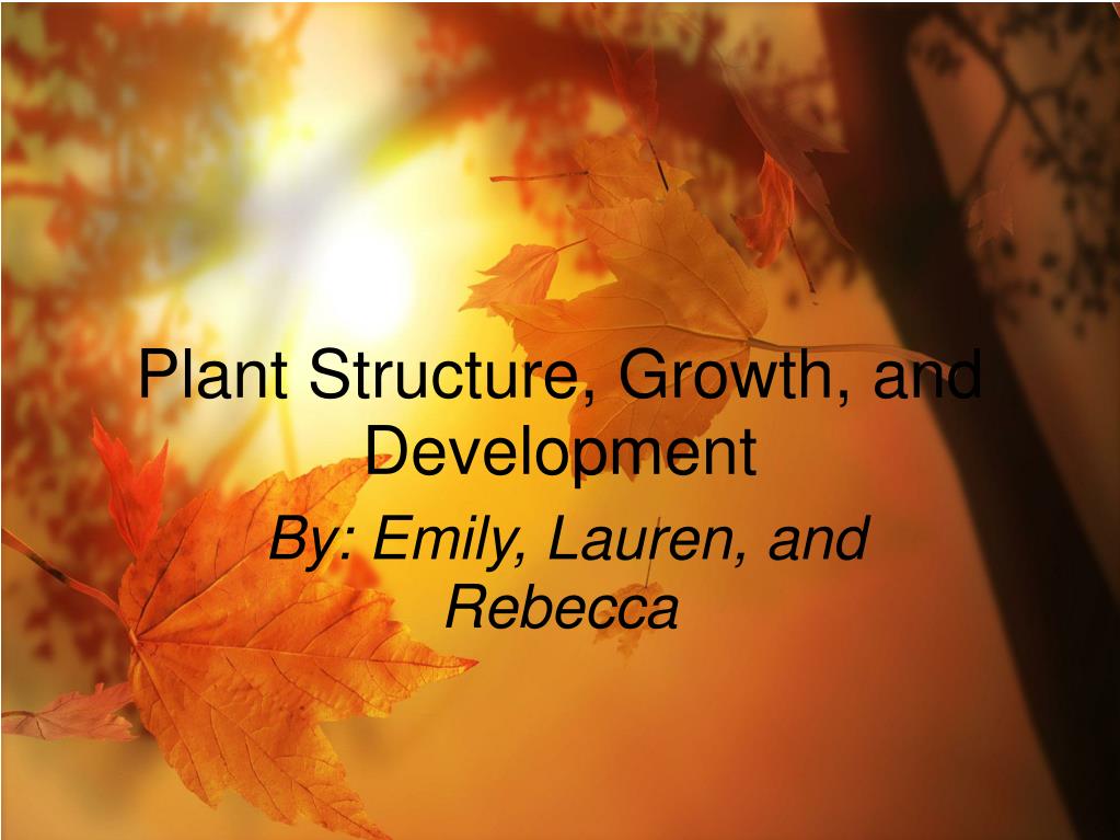PPT - Plant Structure, Growth, and Development PowerPoint Presentation ...