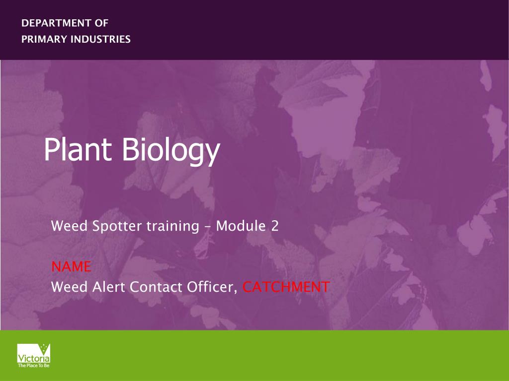 PPT - Plant Biology PowerPoint Presentation, free download - ID:2770092