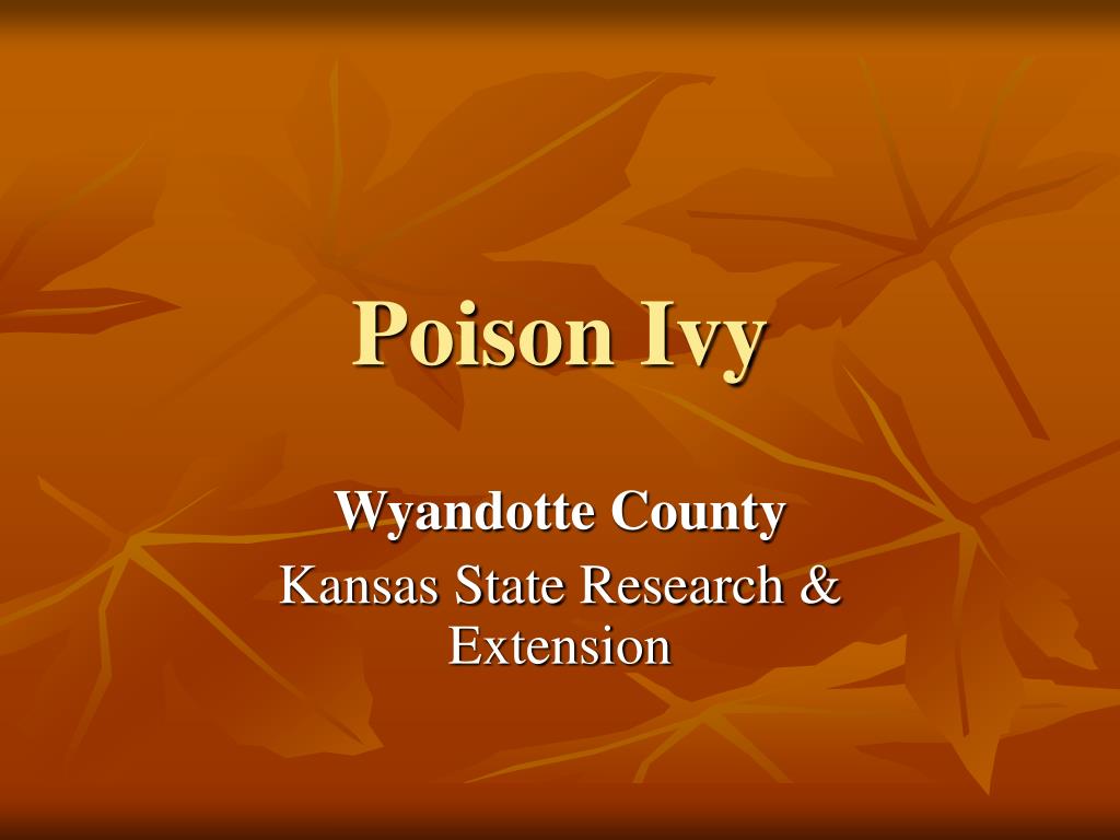 PPT - Poison Ivy PowerPoint Presentation, free download - ID:2772275