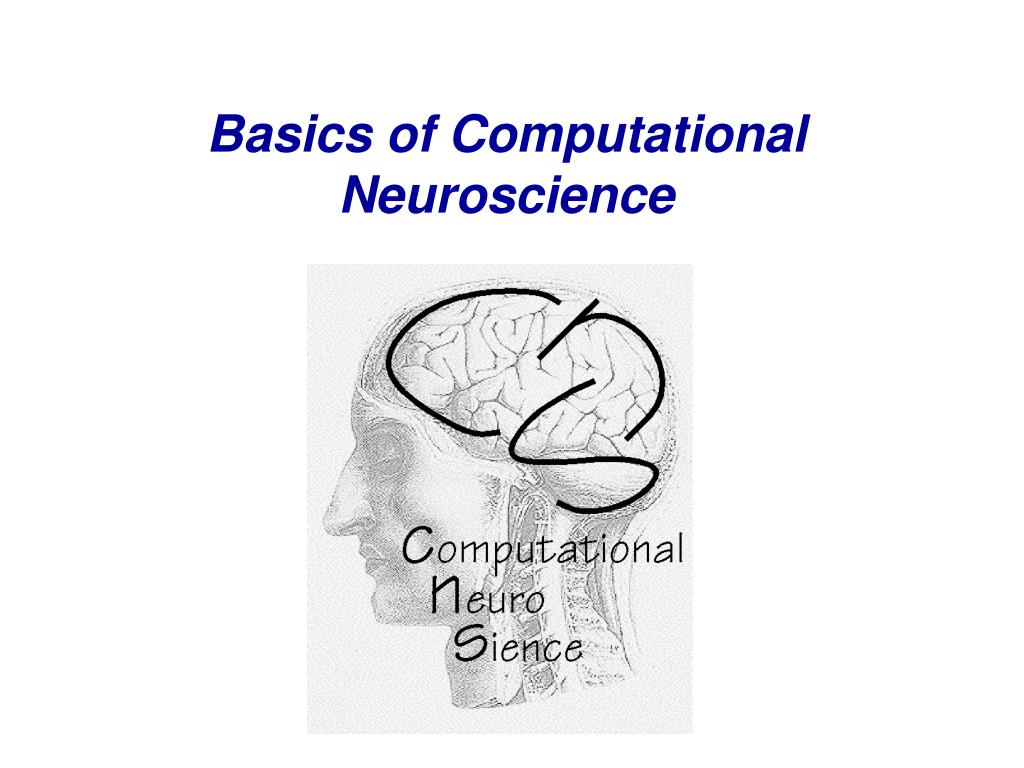 PPT - Basics of Computational Neuroscience PowerPoint Presentation ...