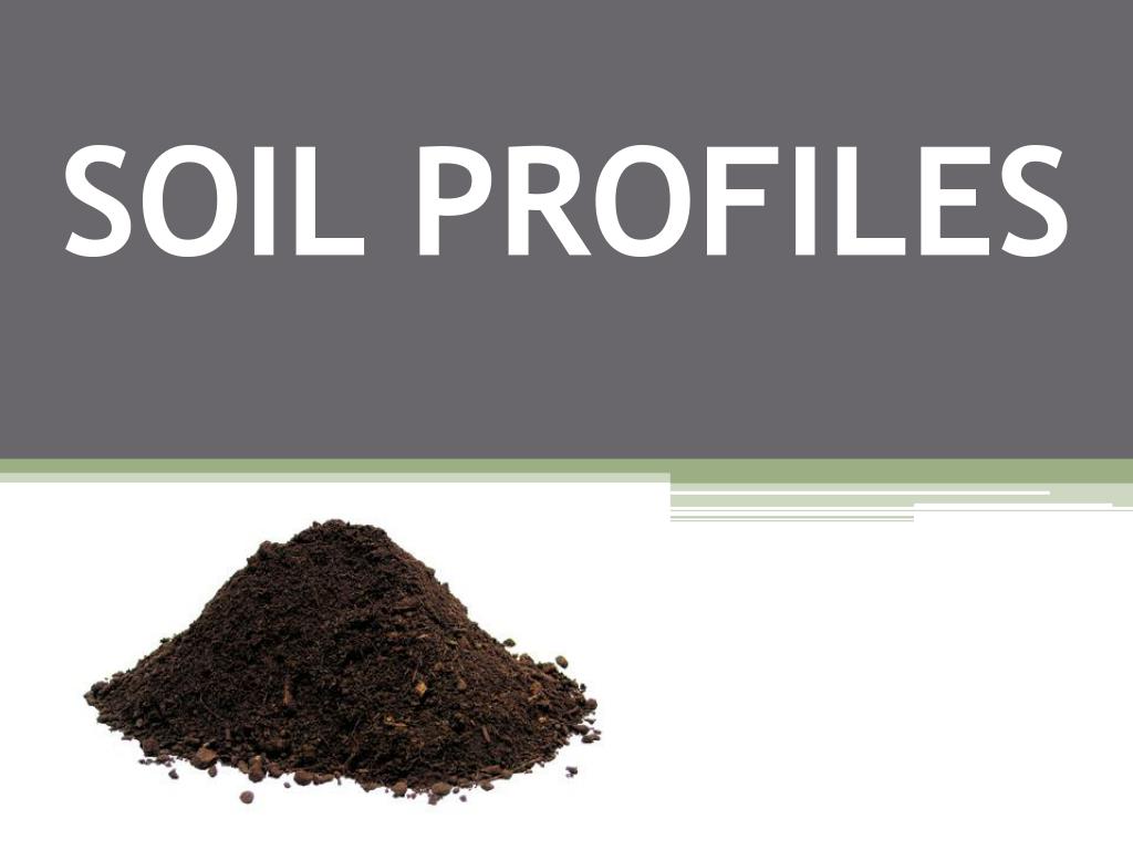 PPT - SOIL PROFILES PowerPoint Presentation, free download - ID:2776615