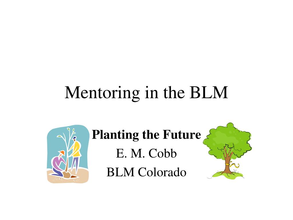 PPT - Mentoring in the BLM PowerPoint Presentation, free download - ID ...