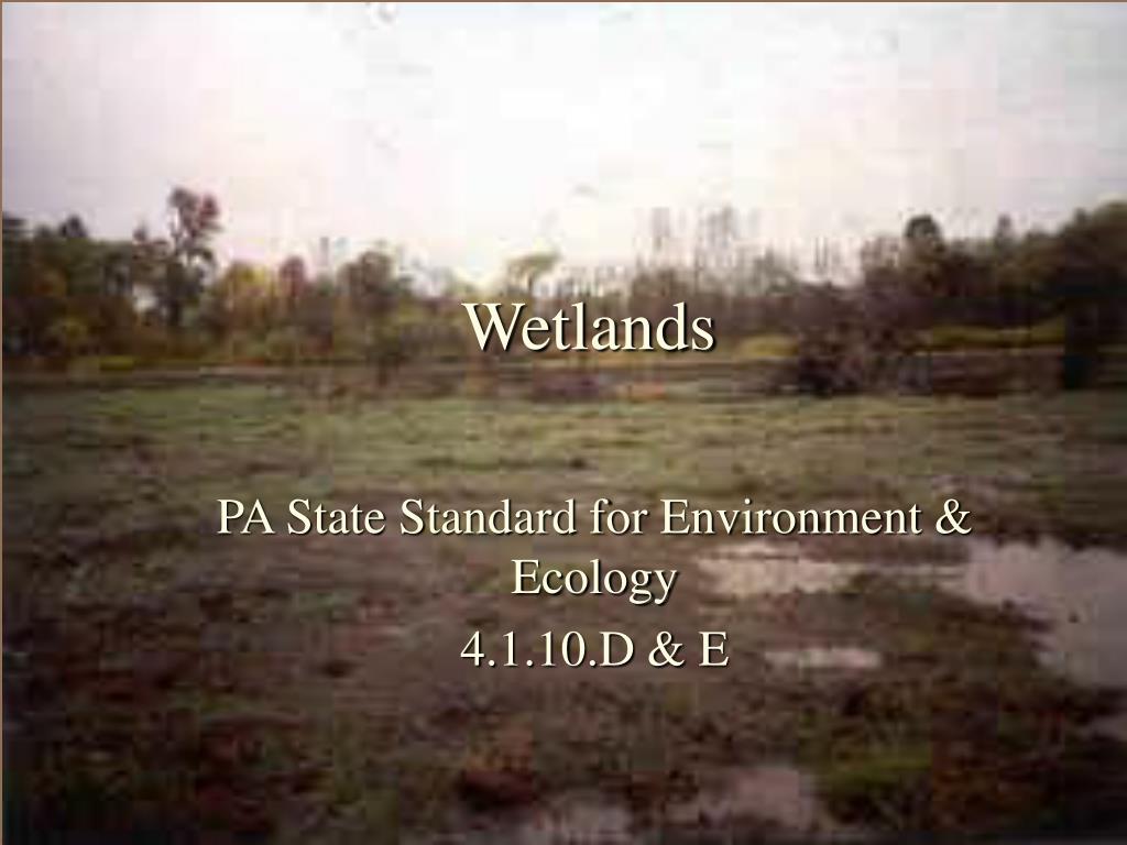 PPT - Wetlands PowerPoint Presentation, free download - ID:2777516