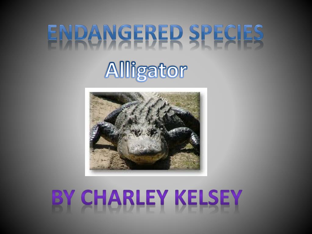 PPT - Endangered species PowerPoint Presentation, free download - ID ...