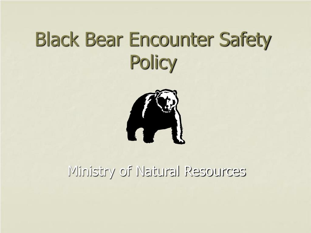 PPT - Black Bear Encounter Safety Policy PowerPoint Presentation, free ...