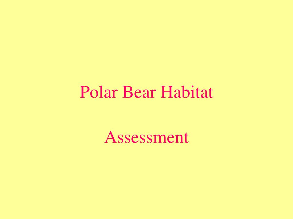 PPT - Polar Bear Habitat PowerPoint Presentation, free download - ID ...
