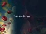 PPT - Cells and Tissues PowerPoint Presentation, free download - ID:9419912